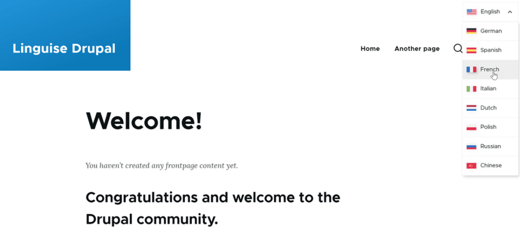 Install Linguise automatic translation on Drupal