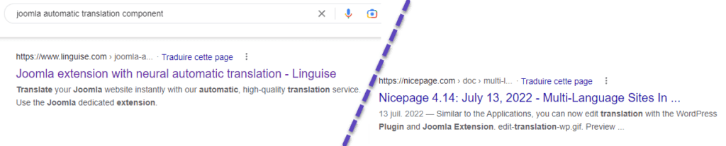 How To Translate Yoast SEO Meta Tag Information