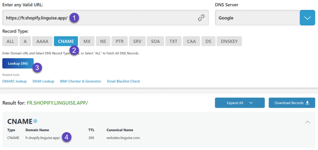 How to identify DNS issues with subdomains