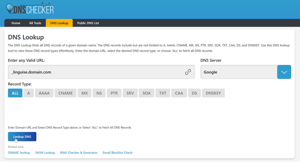 How to identify DNS issues with subdomains