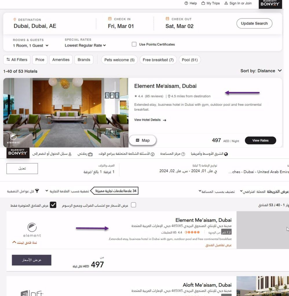 How to Create a Multi-Language Booking Website for WordPress