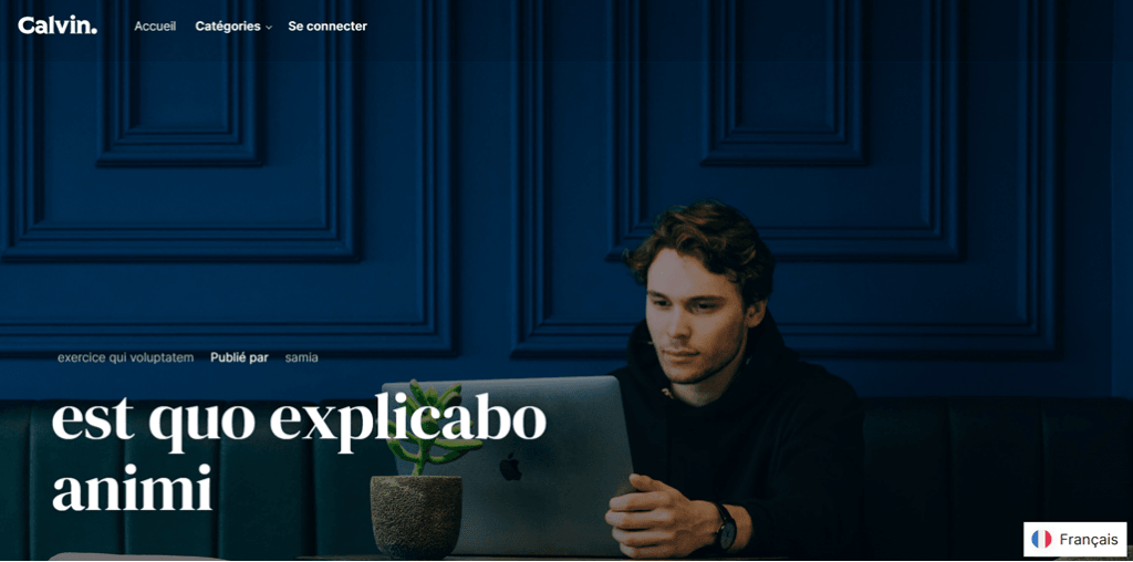 Setup language switcher on Laravel multilingual website